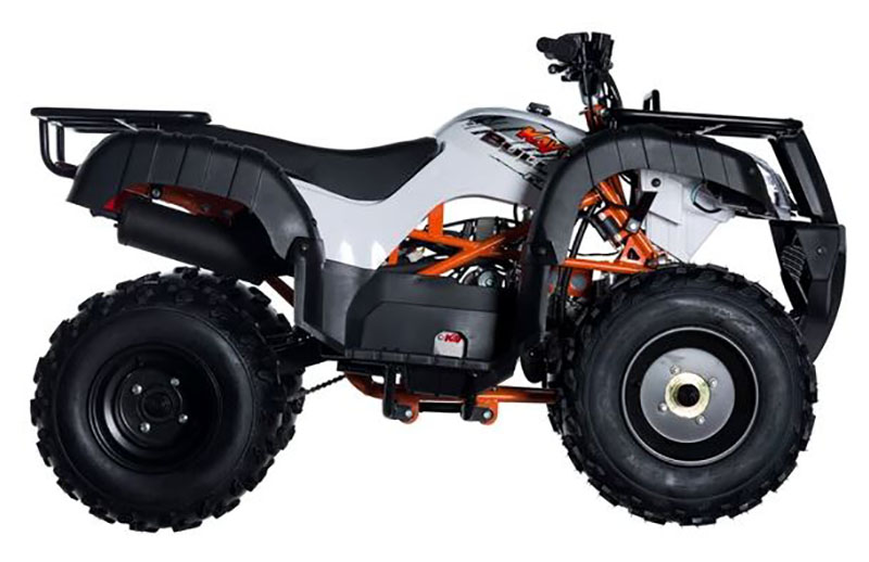 ATVs – Philbrick Motor Sports